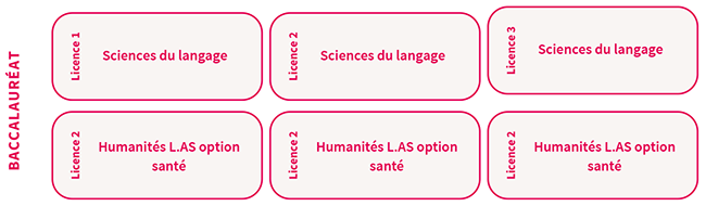Licence - Sciences du langage - Du lycée à l'université